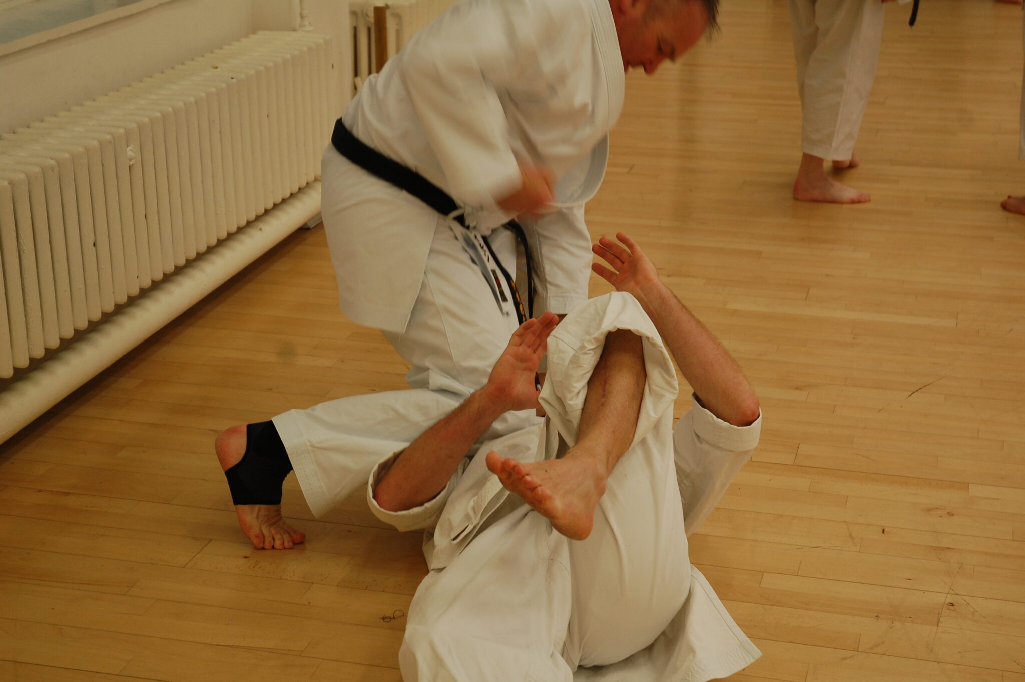 EGKA – The EGKA is a non-profit Karate Association dedicated to ...