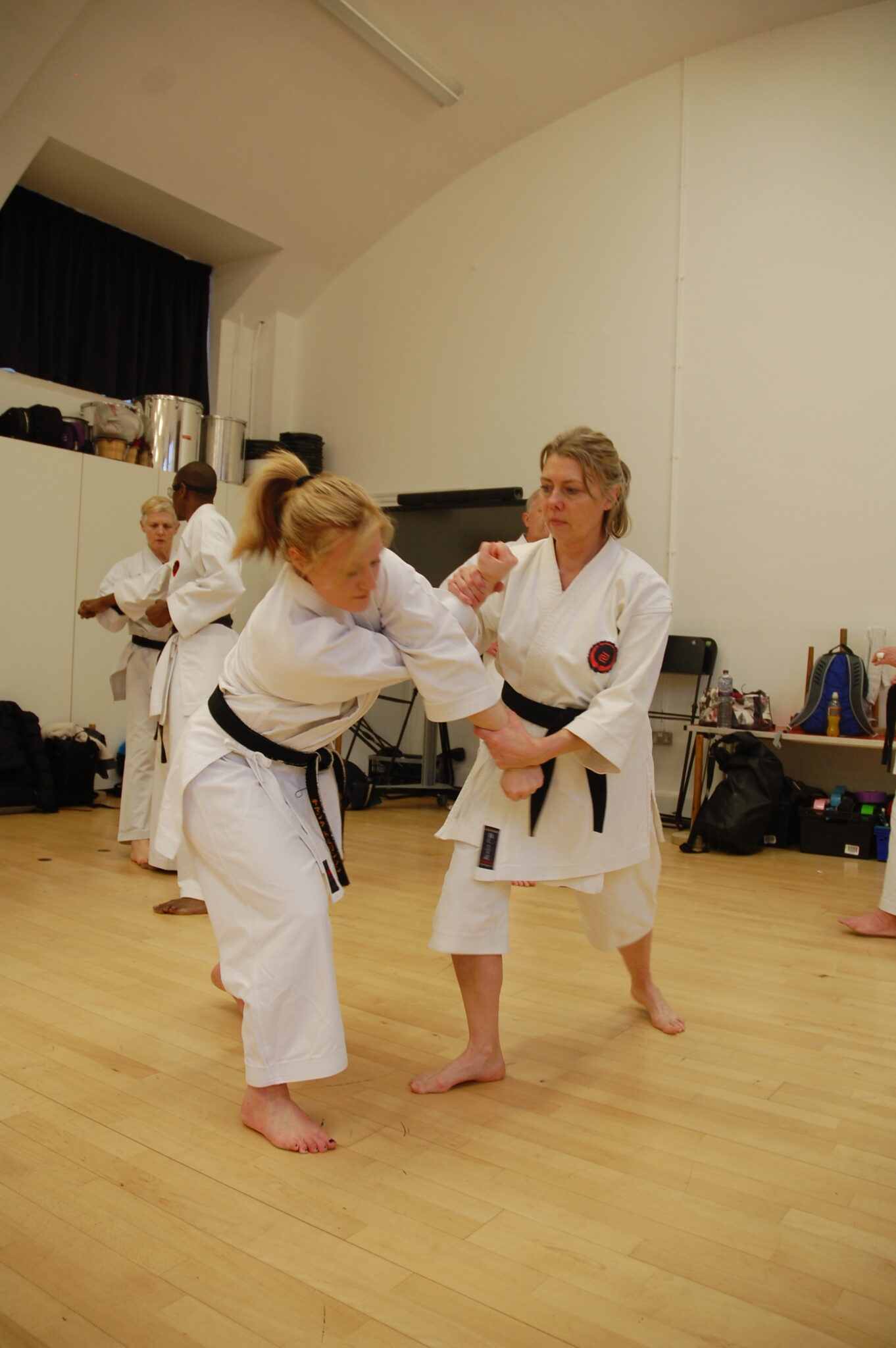 EGKA – The EGKA is a non-profit Karate Association dedicated to teaching the traditional ...